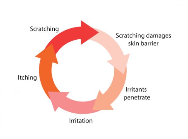 My Skin - Dermikelp South Africa